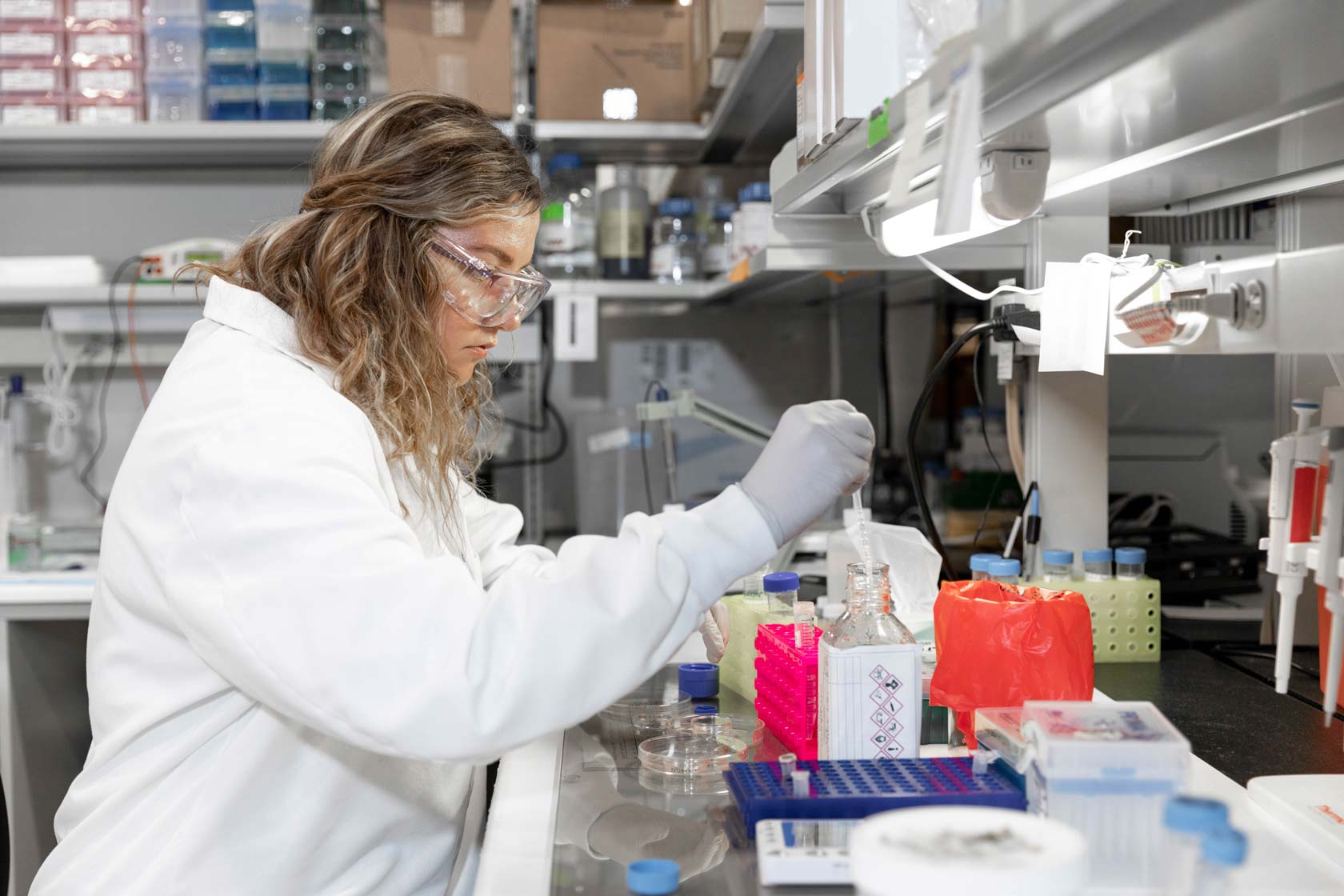 NSU Student Working on Research that Could Help People with Kidney ...